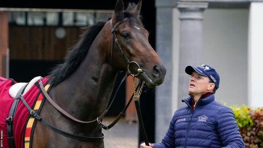O'Brien scratches Derby dark horse Montreal as Epsom picture tightens ...