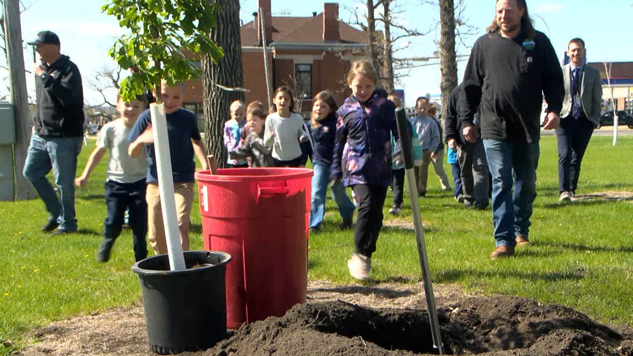 Bemidji gets $308,070 DNR grant to plant 186 trees | Prism News