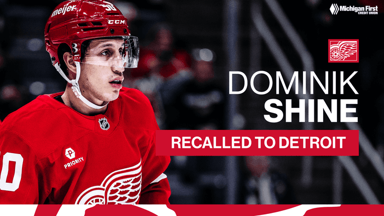 Red Wings recall Dominik Shine, Sheldon Dries from Grand Rapids under ...