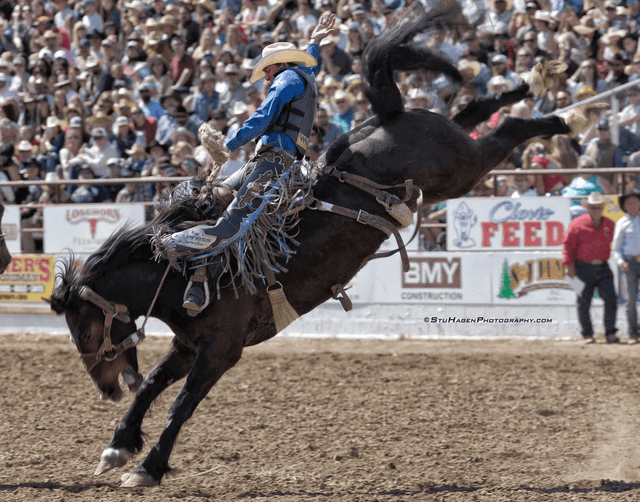 Box Office Opens, Tickets On Sale for 112th Clovis Rodeo April 22-26 ...